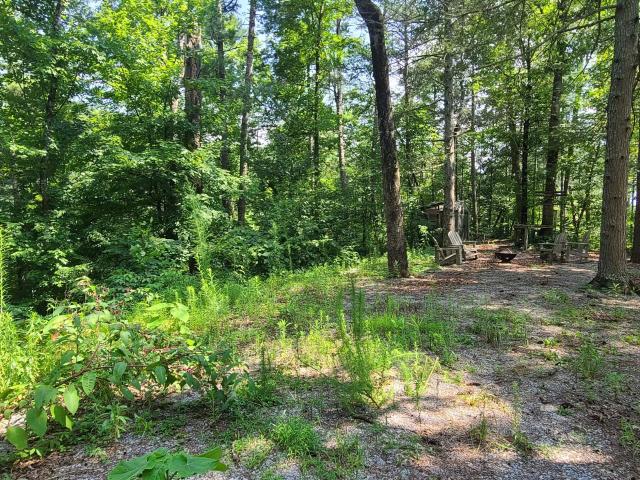 1011 Carrs Creek Rd