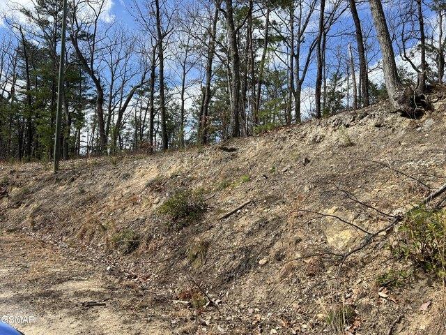 1011 Chestnut Ridge Ct, Sevierville, TN 37876