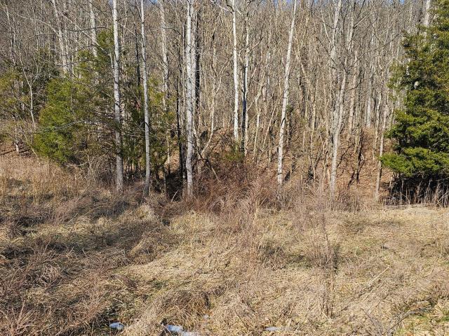 1011 Gilberts Creek Road