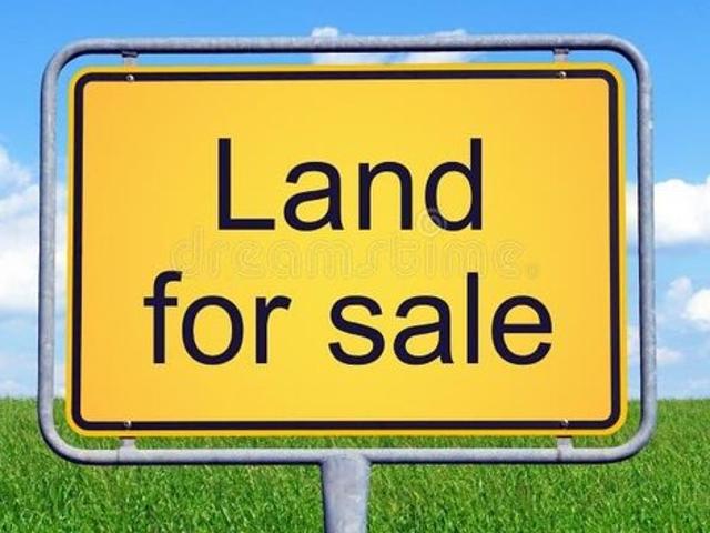 1011 S Jefferies Blvd, Walterboro, SC 29488