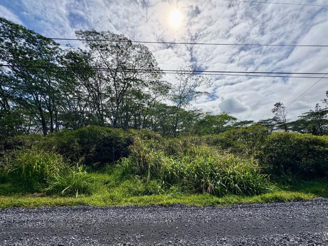 1011 8th Ave, Keaau, HI