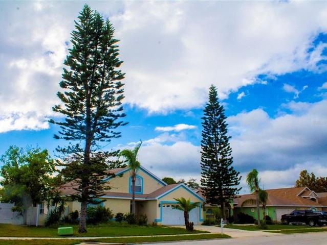 10127 Barnett Loop, Port Richey, FL 34668