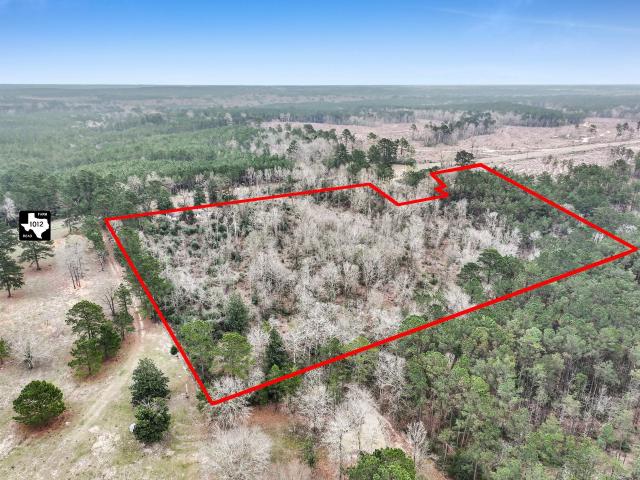 1012 FM 1012 N, Newton, TX 75966 | MLS #27453 | Compass