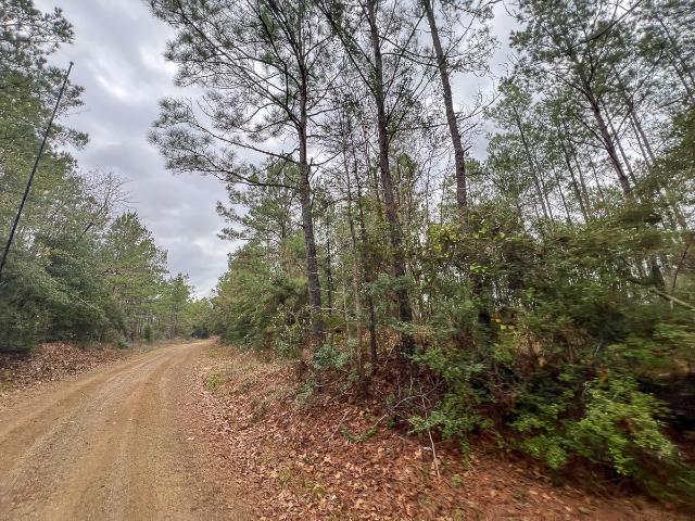 1012 FM 1012 N, Newton, TX 75966 | MLS #92671