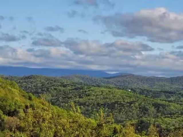 1012 Wild Turkey Bluff, Jasper, GA 30143 MLS 7485061