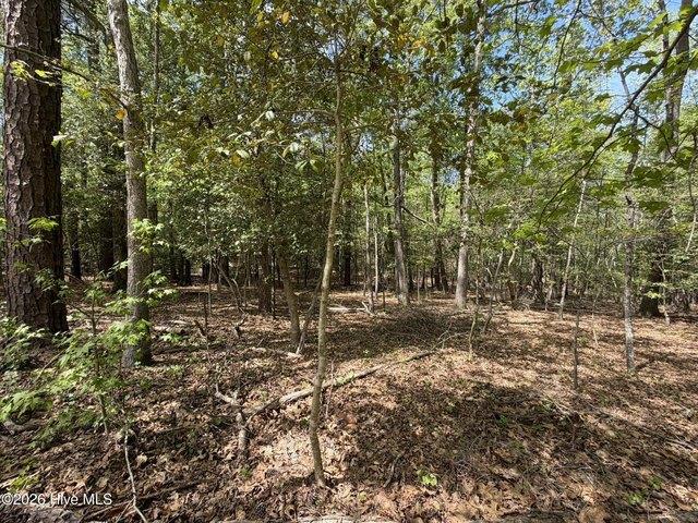 1012R Cedar Ln Lot 1012R, Seven Lakes, NC 27376
