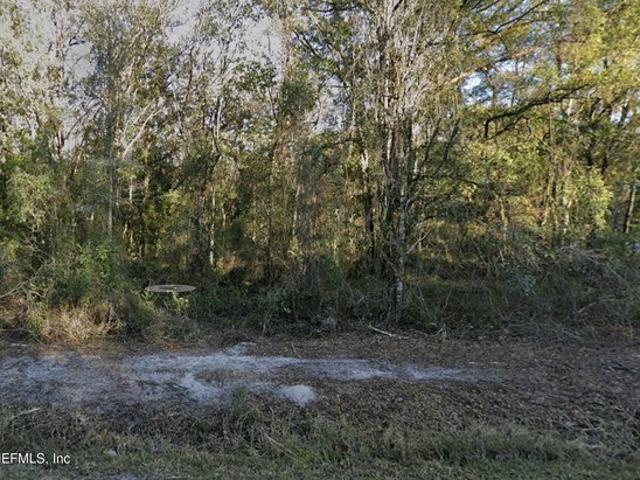 10130 Allison Ave, Hastings, FL 32145