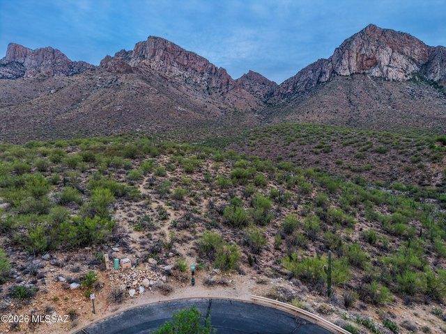 10130 N Cliff Dweller Pl Unit 30, Oro Valley, AZ 85737