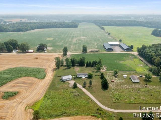 10130 Stahl Rd, Lake Odessa, MI 48849