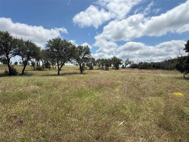 10131 Horizon View Rd, Tolar, TX 76476
