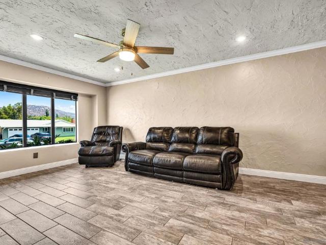 10131 Maple Tree