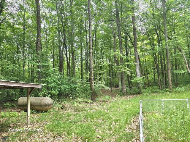 10135 Woods Road