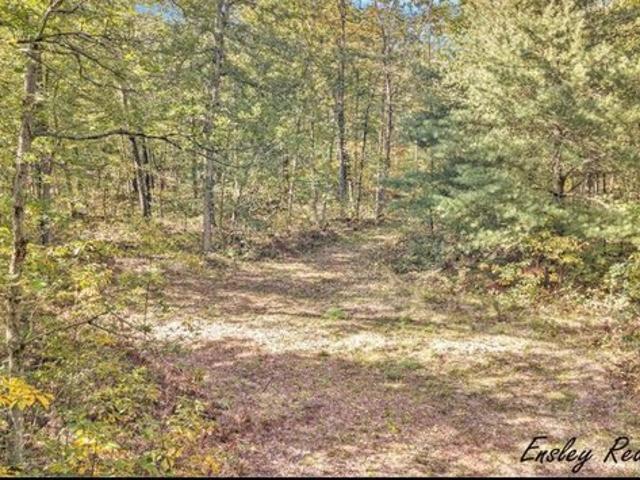 10138 Woodland Ln, Newaygo, MI 49337