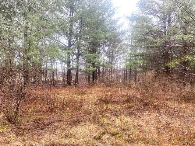 10138 Schuknecht Rd, Fillmore, NY 14735