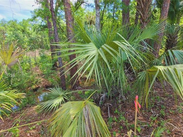 1013 Cupid Ave, Christmas, FL 32709 | MLS #S5146