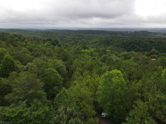 1013 Sterling Lakes Way, Helena, AL 35022