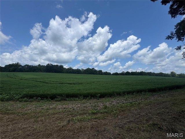 101 14 / Ac Highway D, Frohna, MO 63748
