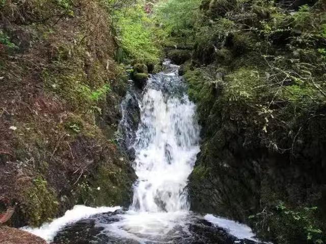 101 CABIN RIDGE RD, CORDOVA, AK 99574 Vacant Land For Sale ML.