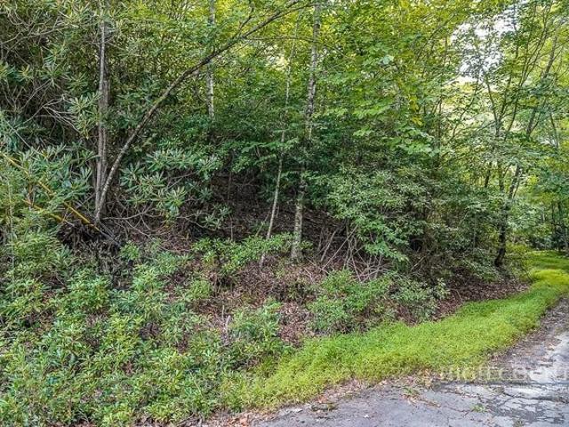 101 Chipmunk Ln, Beech Mountain, NC 28604