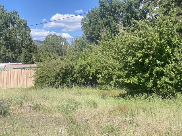101 Ash St, Susanville, CA 96130 | MLS #20250