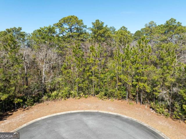 101 Bluebill Trail