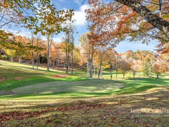 101 Golf View Dr Unit A1, Beech Mountain, NC 28604