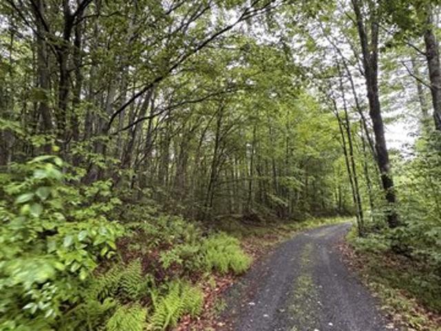 101 Gilsum Rd Lot 1, Sullivan, NH 03445
