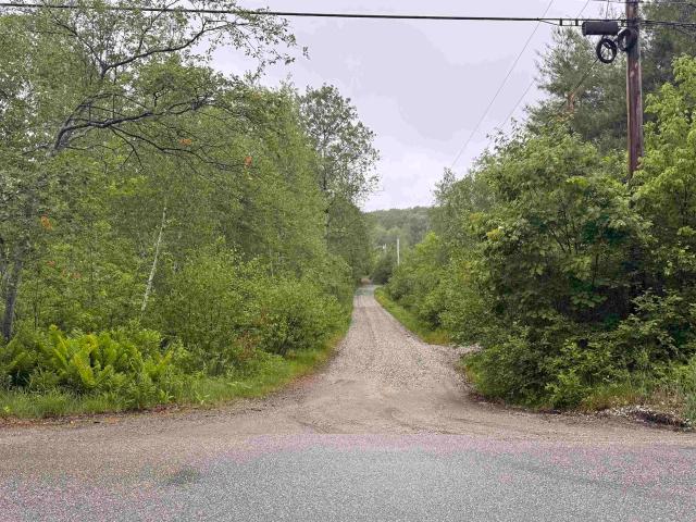 101 Gilsum Road # 1