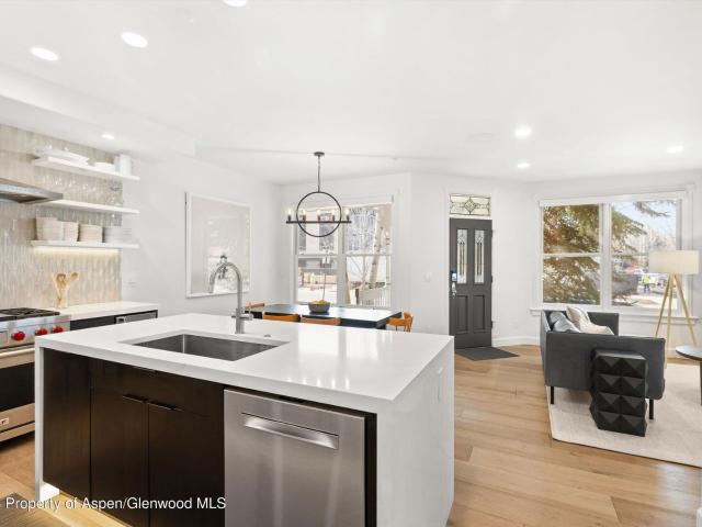 101 E Bleeker Street, A, Aspen, CO