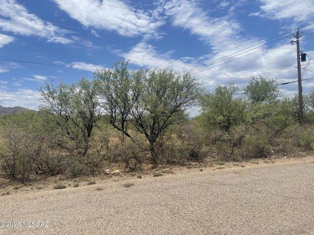 101 Escocia Ct Unit 85, Rio Rico, AZ 85648