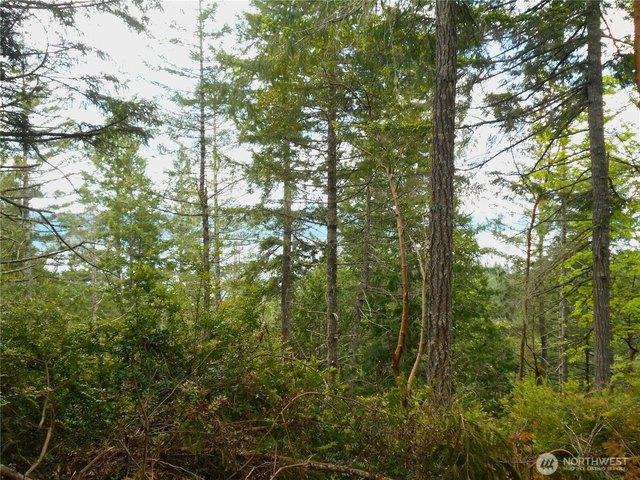 101 Highway Lot 1 21, Brinnon, WA 98320
