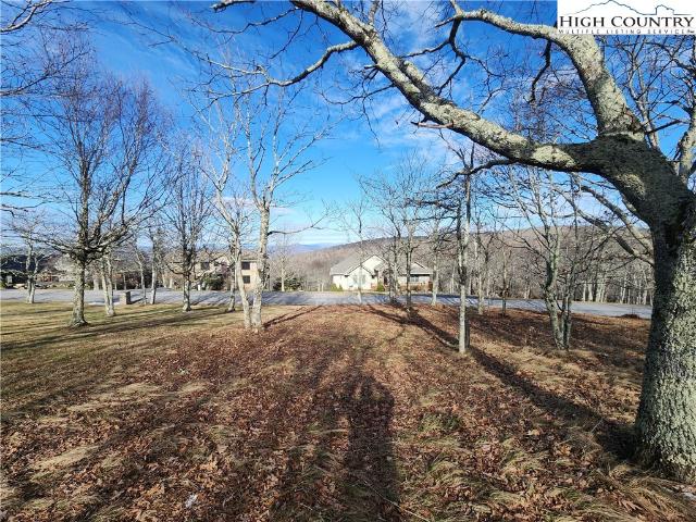 101 Larkspur Lane
