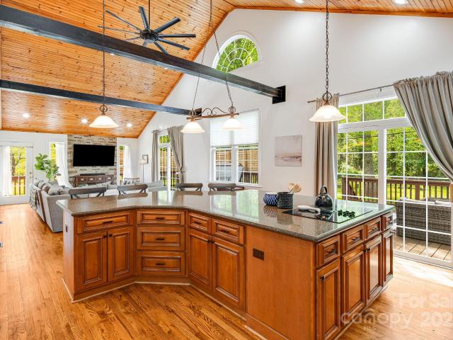 101 McFalls Rd, Asheville, NC 28805 | MLS #4254