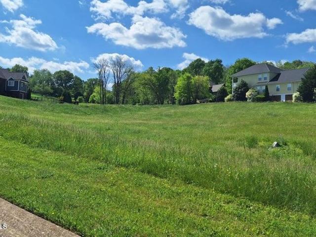101 N Forest Ln, Blountville, TN 37617
