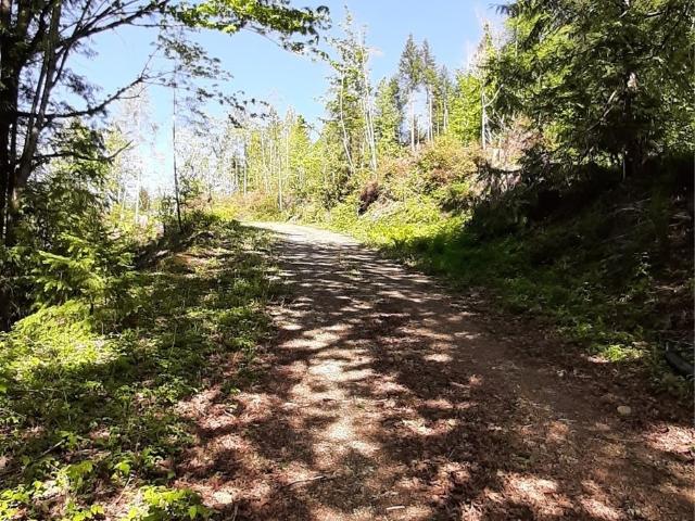 101 NE W J Way, Belfair, WA 98528 | MLS #2234 | Compass