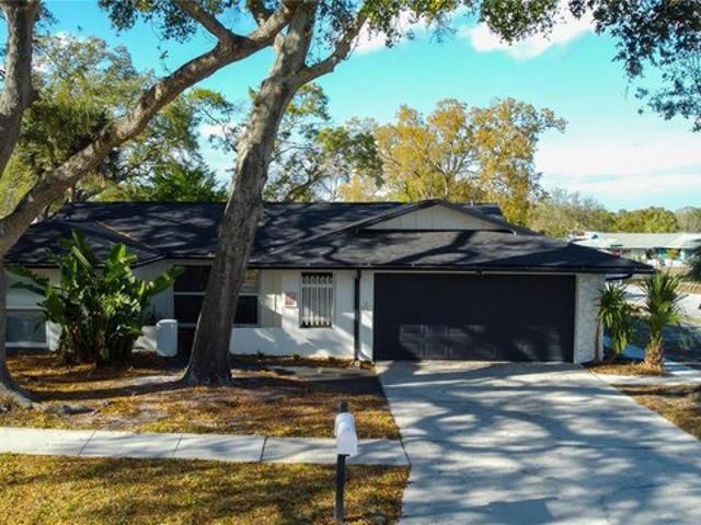 101 Nestlebranch Dr, Safety Harbor, FL 34695