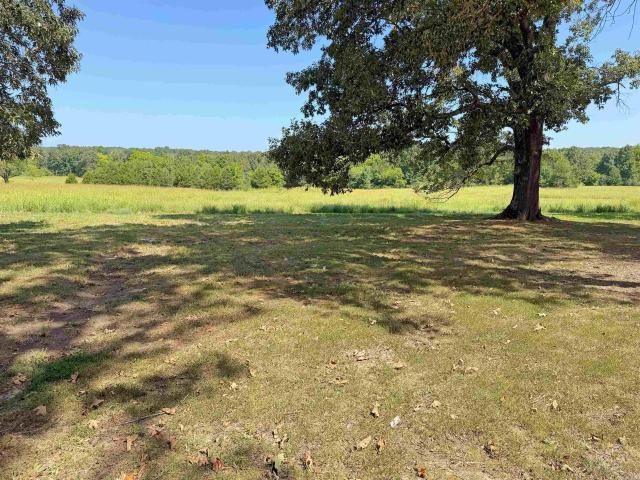 101 Summer Meadows