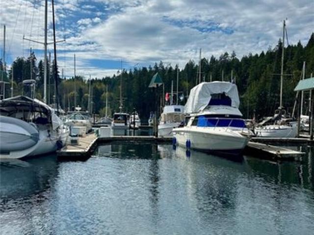 101 Pleasant Harbor Rd Unit C21, Brinnon, WA 98320