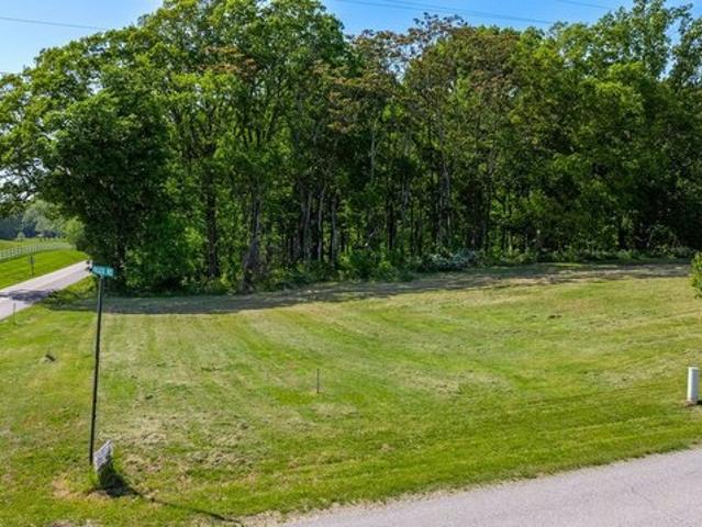 Riggs Rd, Portland, TN 37148
