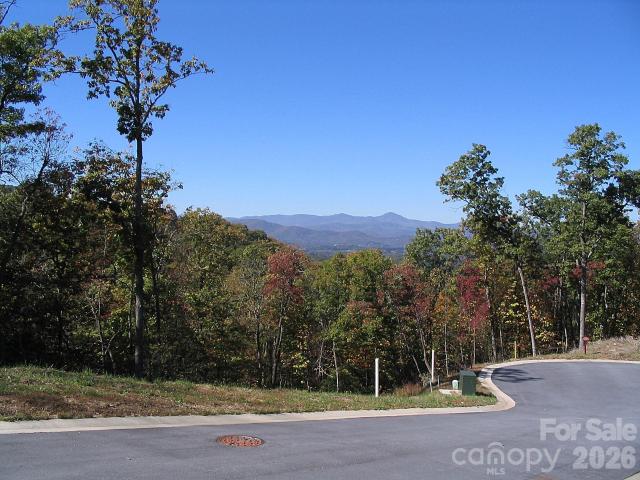 101 Wood Owl Ct, Hendersonville, NC 28791 | MLS #4400