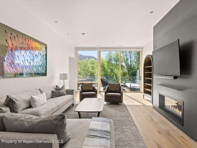 101 Willow Rd Unit 206, Basalt, CO 81621