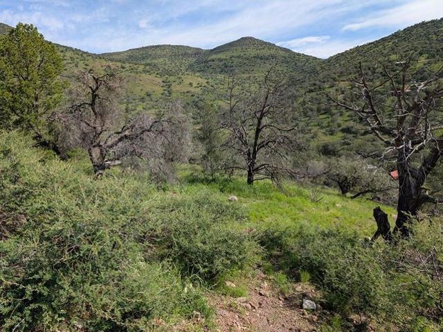 101 Tejano Canyon Dr, Fort Davis, TX 79734