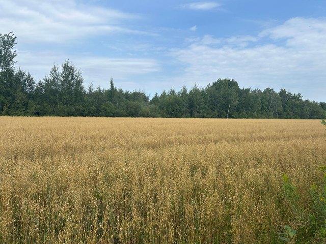 10241 th Ave, Strathcona, MN 56759