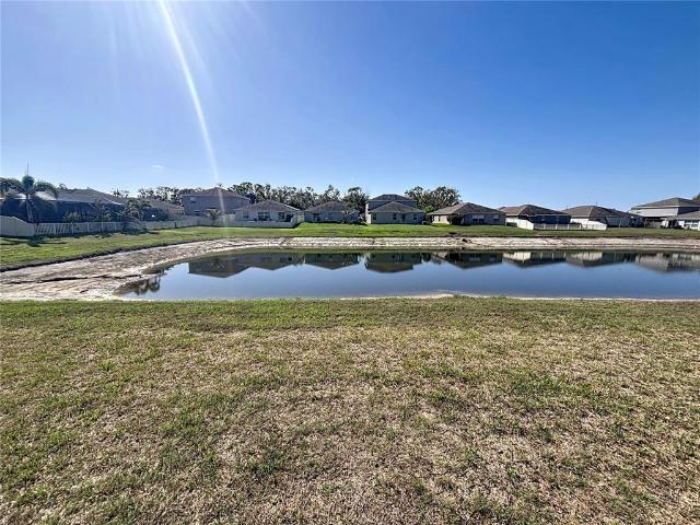 10241 Strawberry Tetra Dr, Riverview, FL 33578 | MLS #TB8486 | Compass