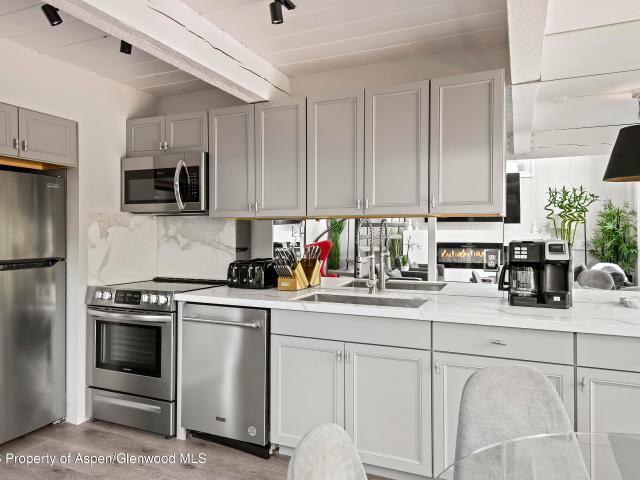 1024 E Cooper Ave, Unit 2, Aspen, CO 81611 | MLS #191868