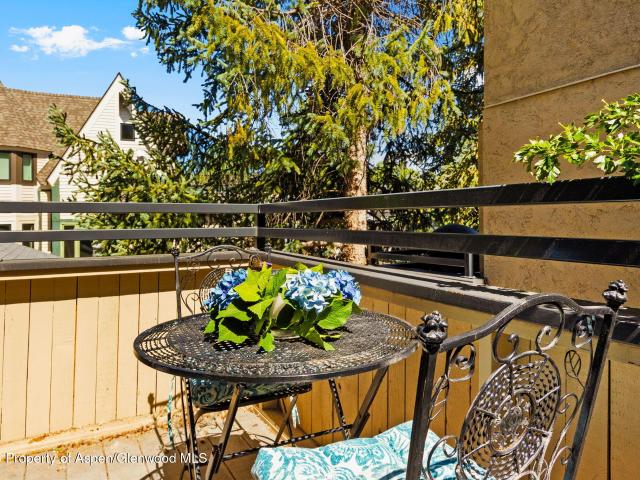 1024 E Cooper Ave, Unit 8, Aspen, CO 81611 | MLS #193294