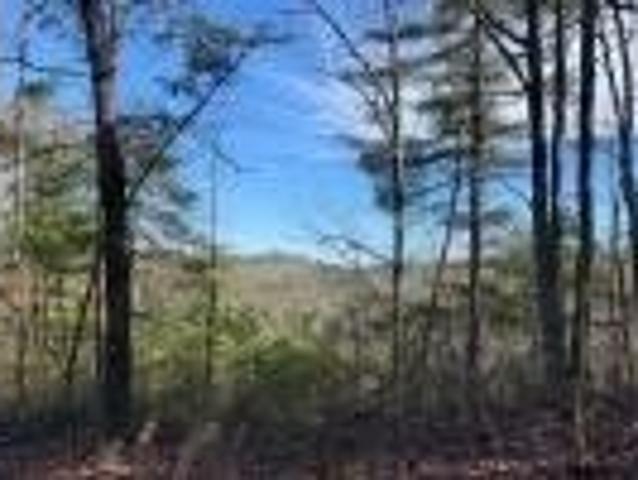 1025 Raccoon Ridge Rd, Ranger, GA 30734