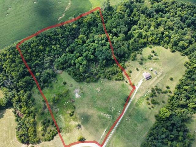 1025 Stewart Ridge Rd, Owenton, KY 40359