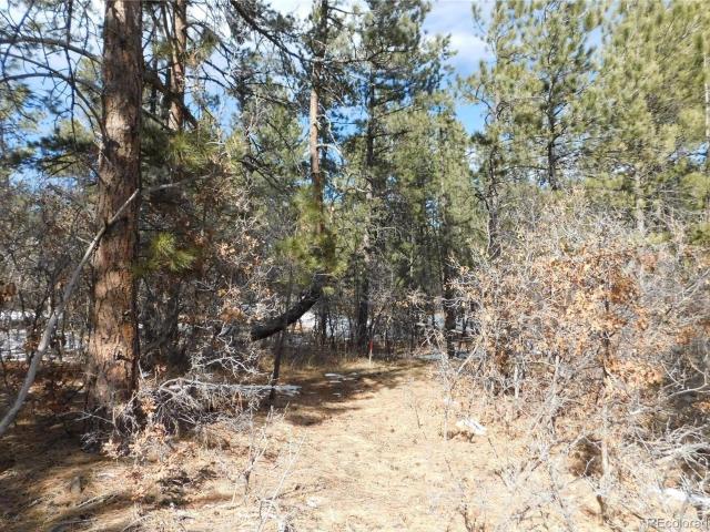 1025 Tenderfoot Drive