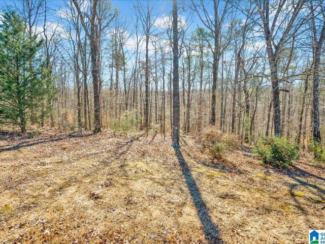 1025 Willowbrook Road